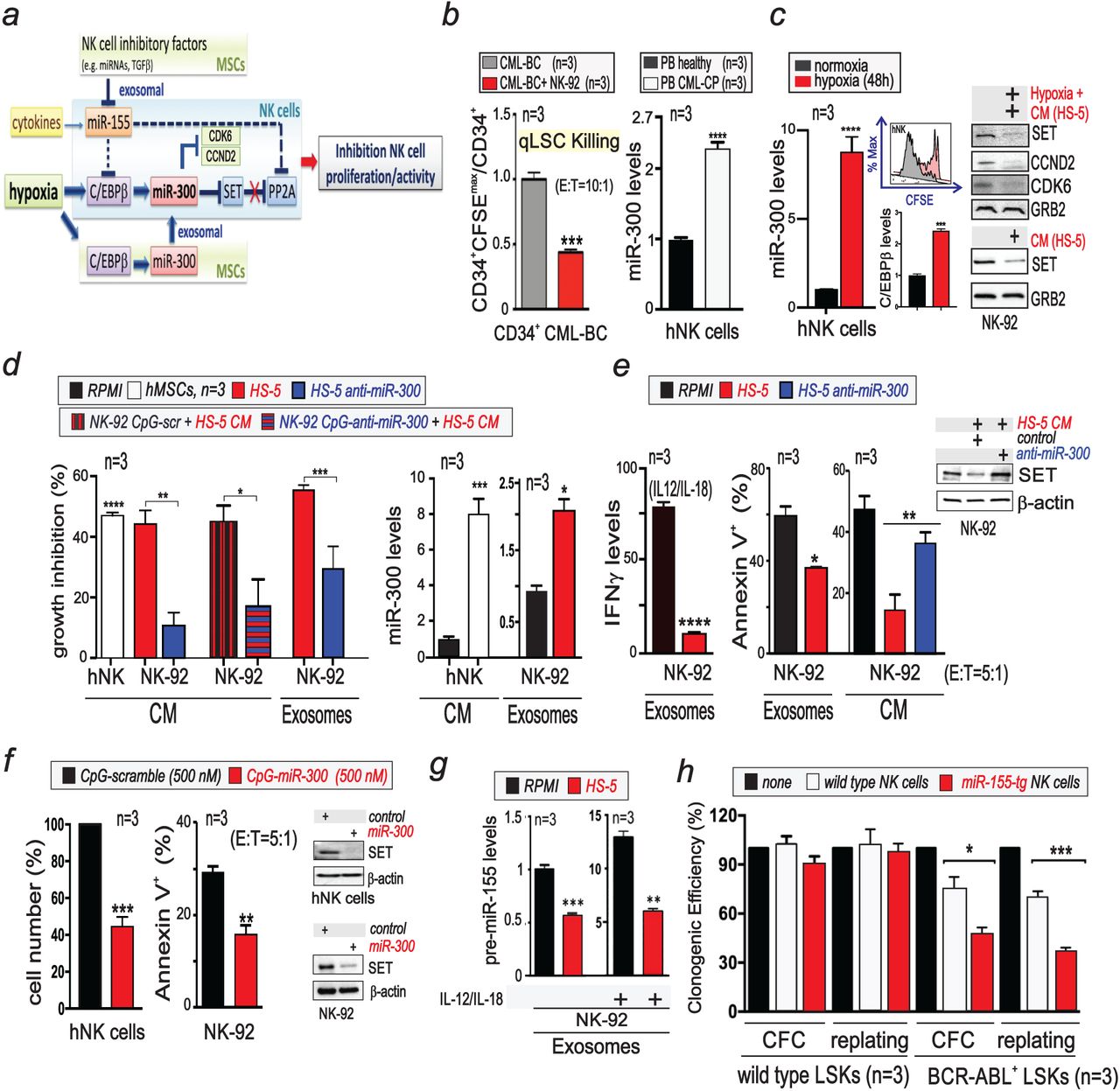 Bcr Abl1 Dual Color Double Fusion Probe Set | Cytocell Inc | Bioz