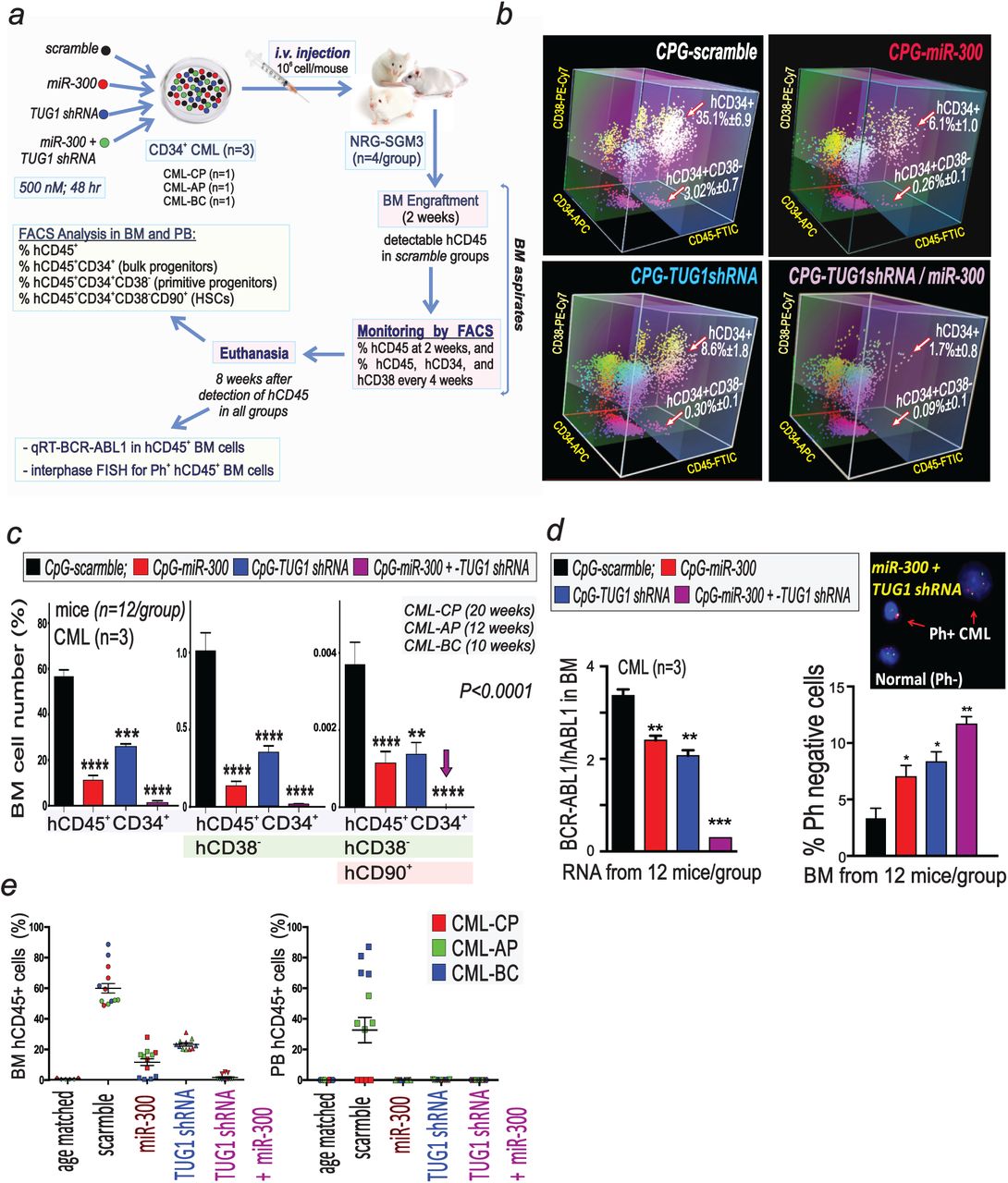 Bcr Abl1 Dual Color Double Fusion Probe Set | Cytocell Inc | Bioz