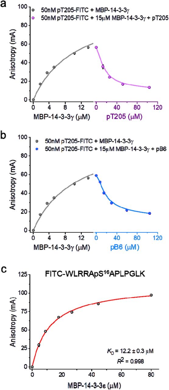 Fitc Labeled Phosphopeptides | Thermo Fisher | Bioz