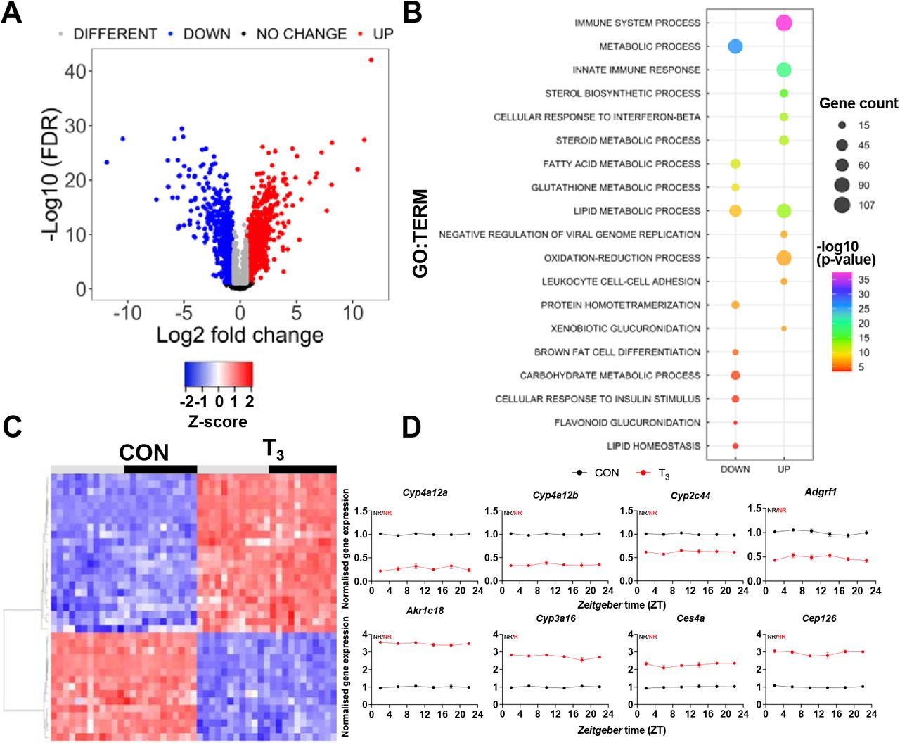 Transcriptome Analyses Console | Thermo Fisher | Bioz