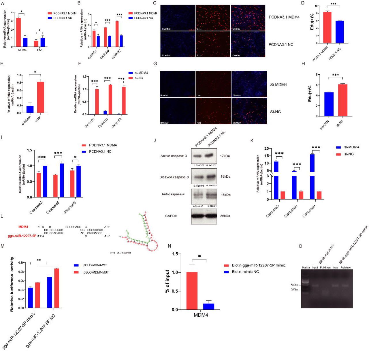 Pmirglo Dual Luciferase Reporter Vector | Promega | Bioz