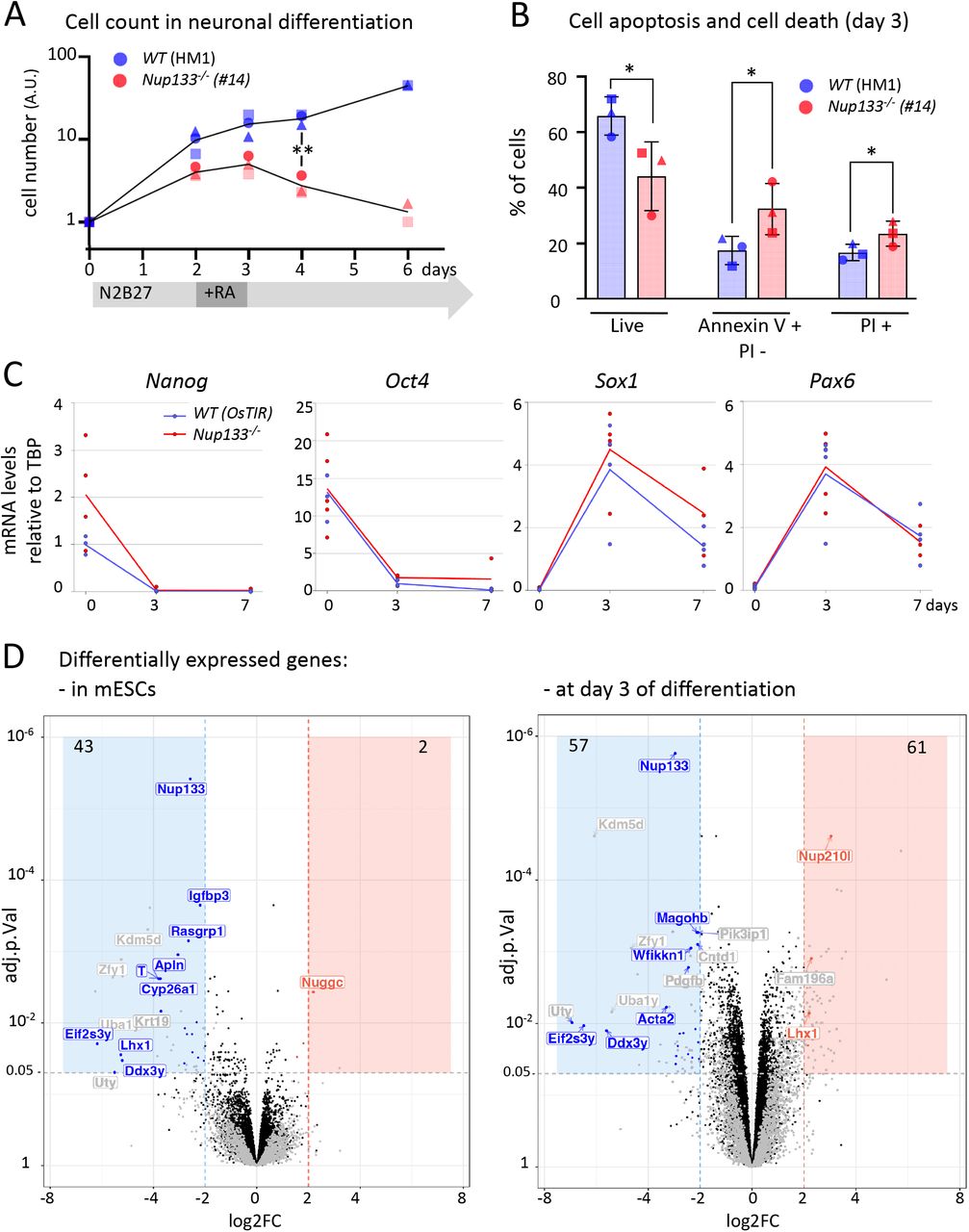 Strand Specific Rna Seq Library Preparation Truseq Stranded Mrna Kit ...