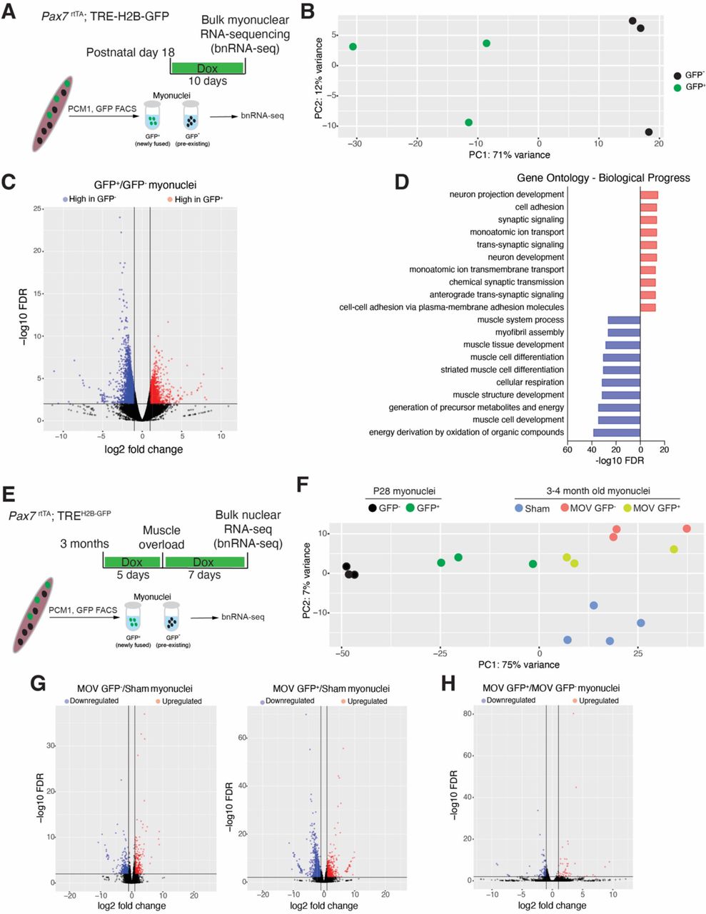 Ovation Rna Seq System V2 Kit | Tecan Systems | Bioz