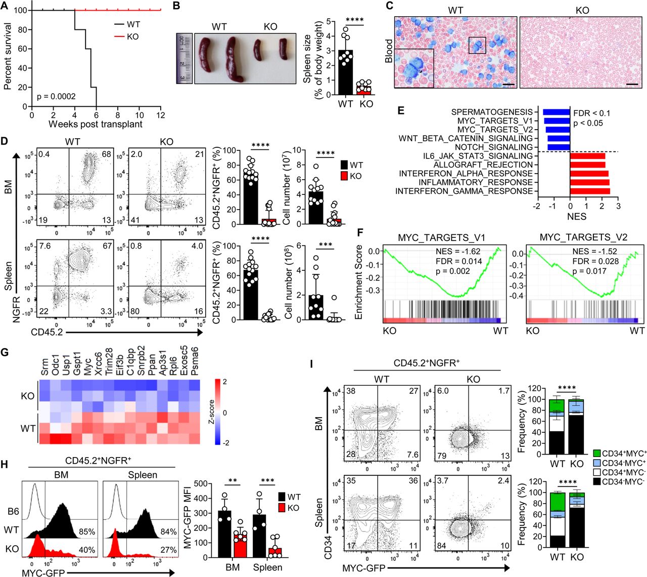 Mouse Cd45 Microbeads | Miltenyi Biotec | Bioz