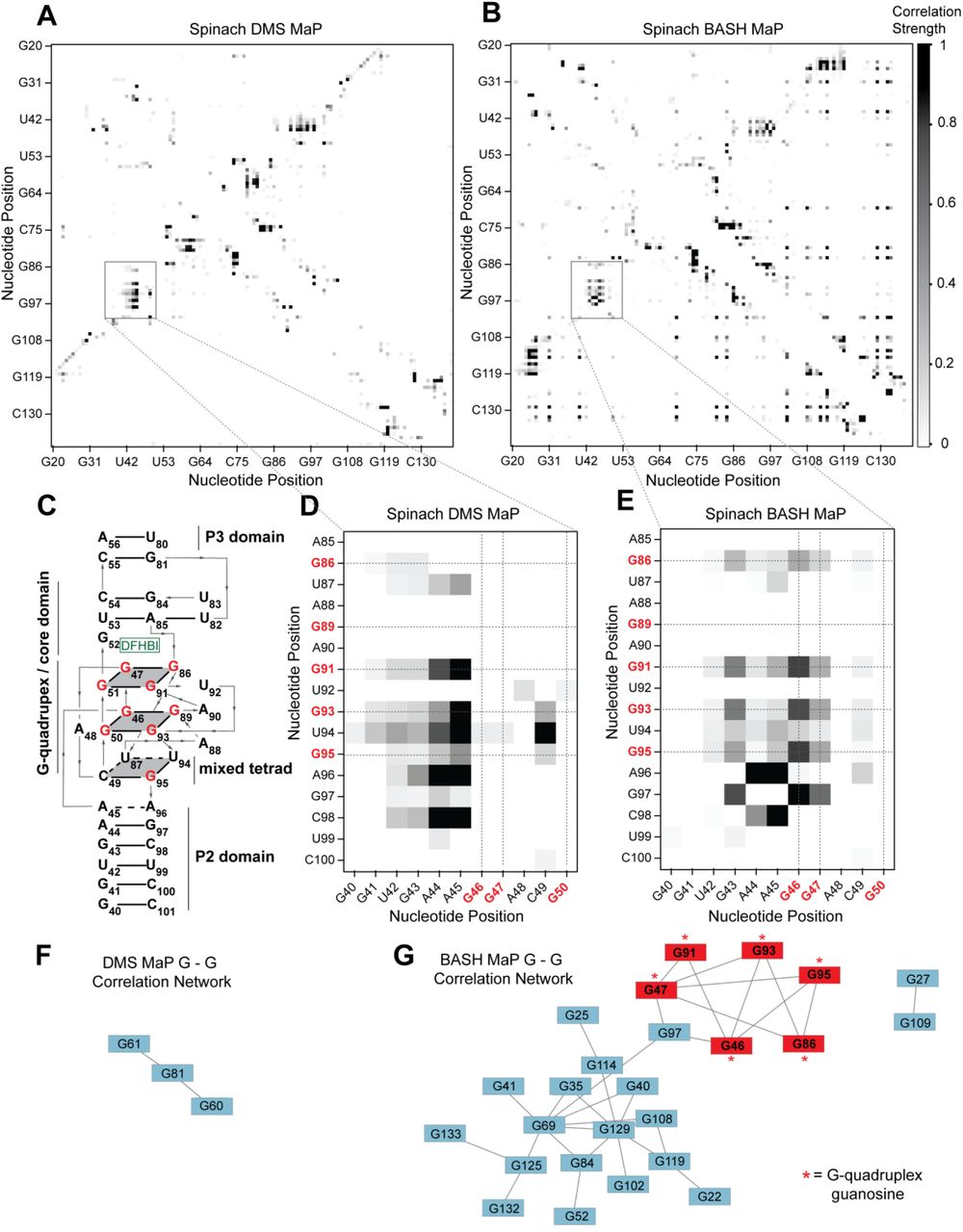 Heatmaps | GraphPad Software Inc | Bioz