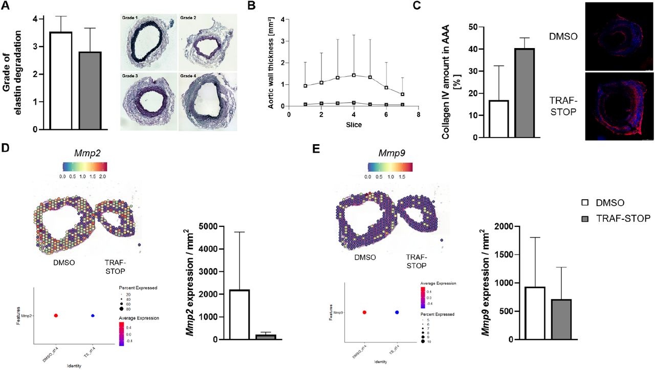 Rnascope Multiplex Fluorescent Detection V2 Kit | Advanced Cell ...