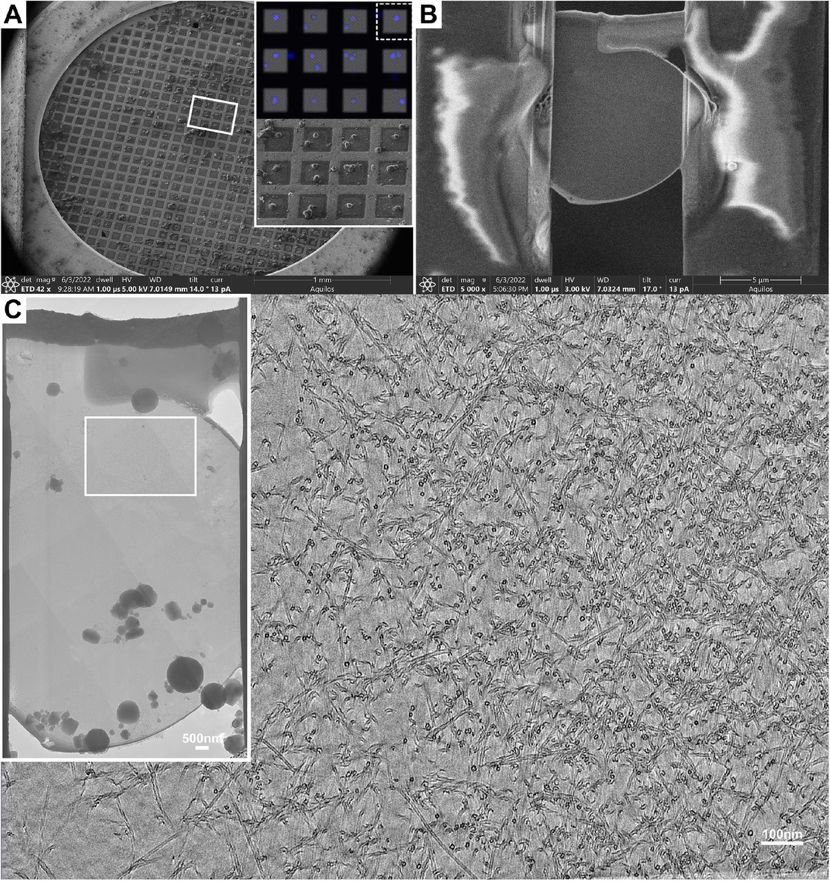 Manual Cryo Fib Session 10 | Thermo Fisher | Bioz