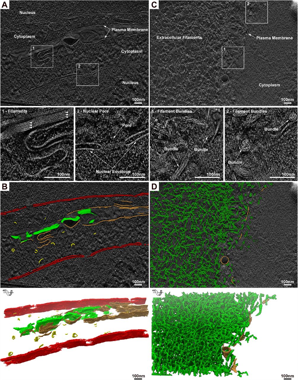 Manual Cryo Fib Session 10 | Thermo Fisher | Bioz