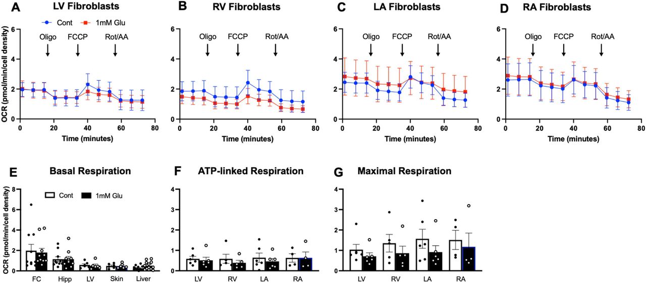 Seahorse Extracellular Flux Xfe96 Analyzer | Agilent technologies | Bioz