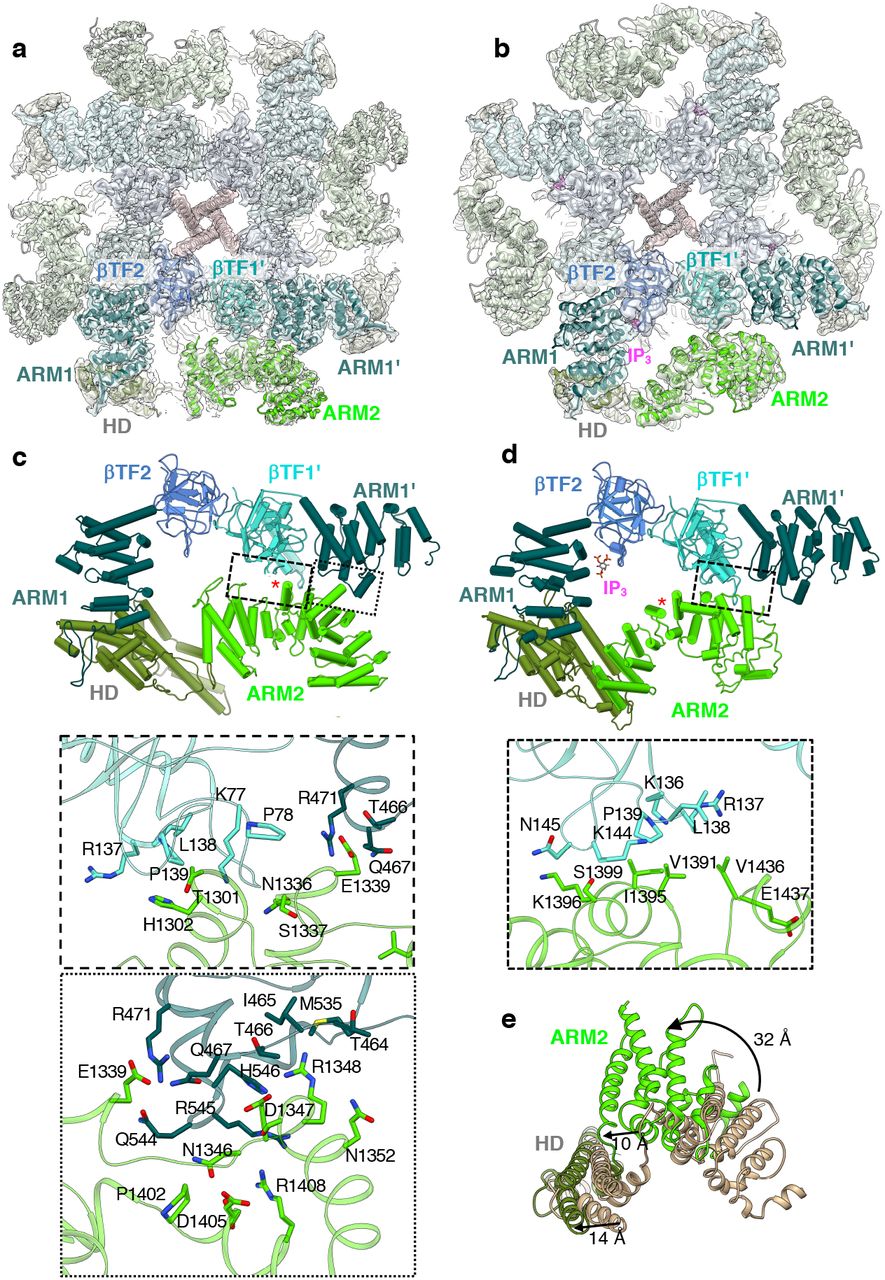 Ca Ip 3 R1 Cryo Em Density Maps | Thermo Fisher | Bioz