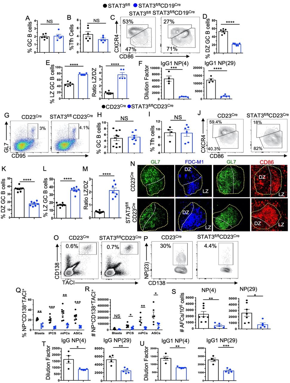 B6 129p2 C Cd19 | The Jackson Laboratory | Bioz