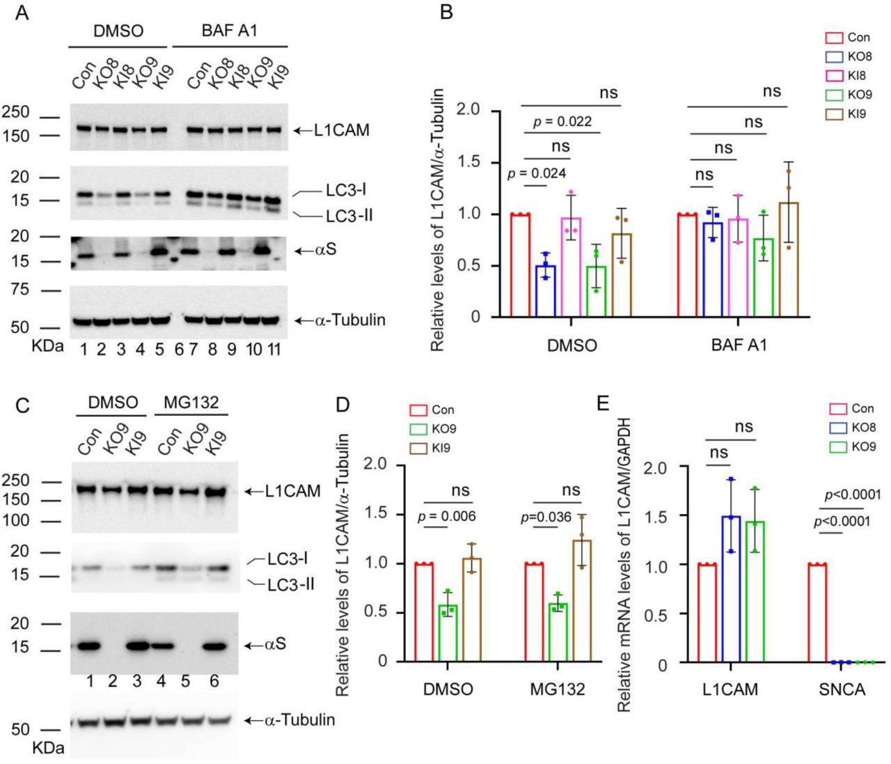 Bafilomycin A1 Bafa1 | Millipore | Bioz