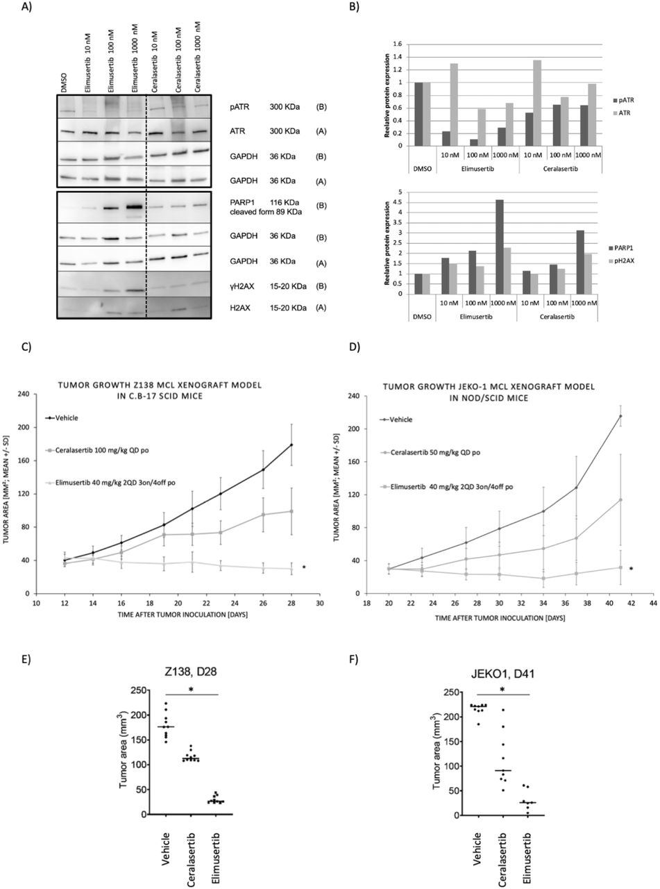 Female Nod Scid Mice | Charles River Laboratories | Bioz