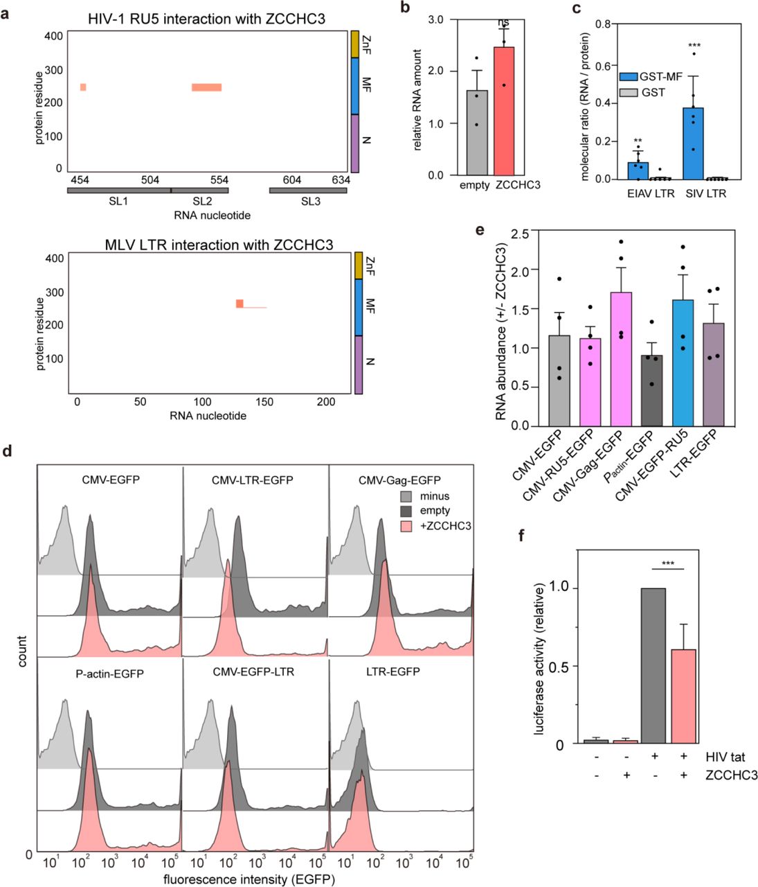 Tzm Bl Cells | Ocera Inc | Bioz