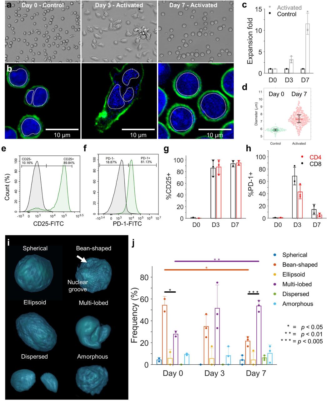 Brightfield | Olympus | Bioz