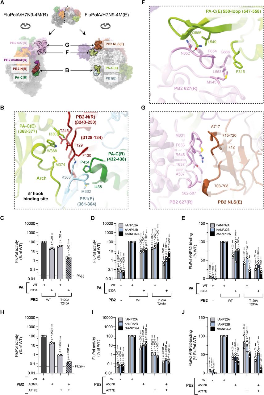 Hek 293t | atcc | Bioz