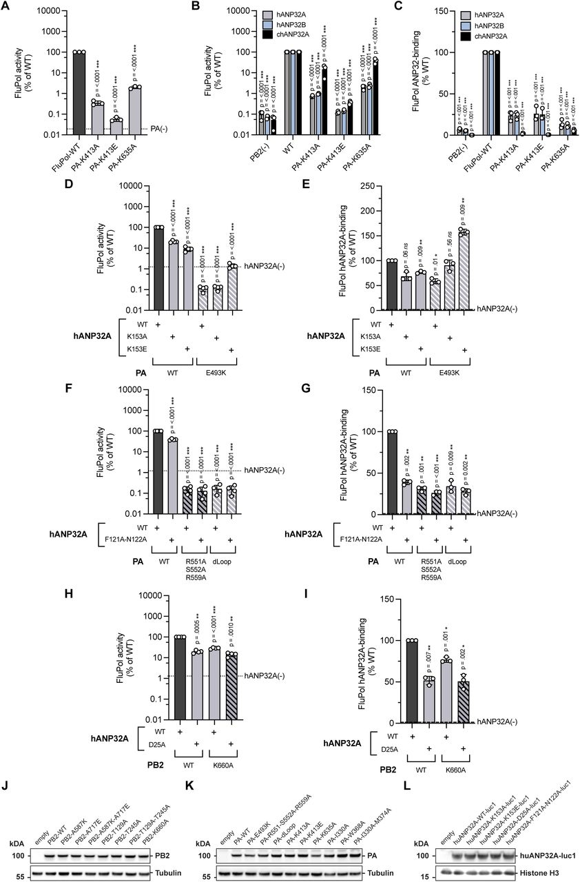 Hek 293t | atcc | Bioz