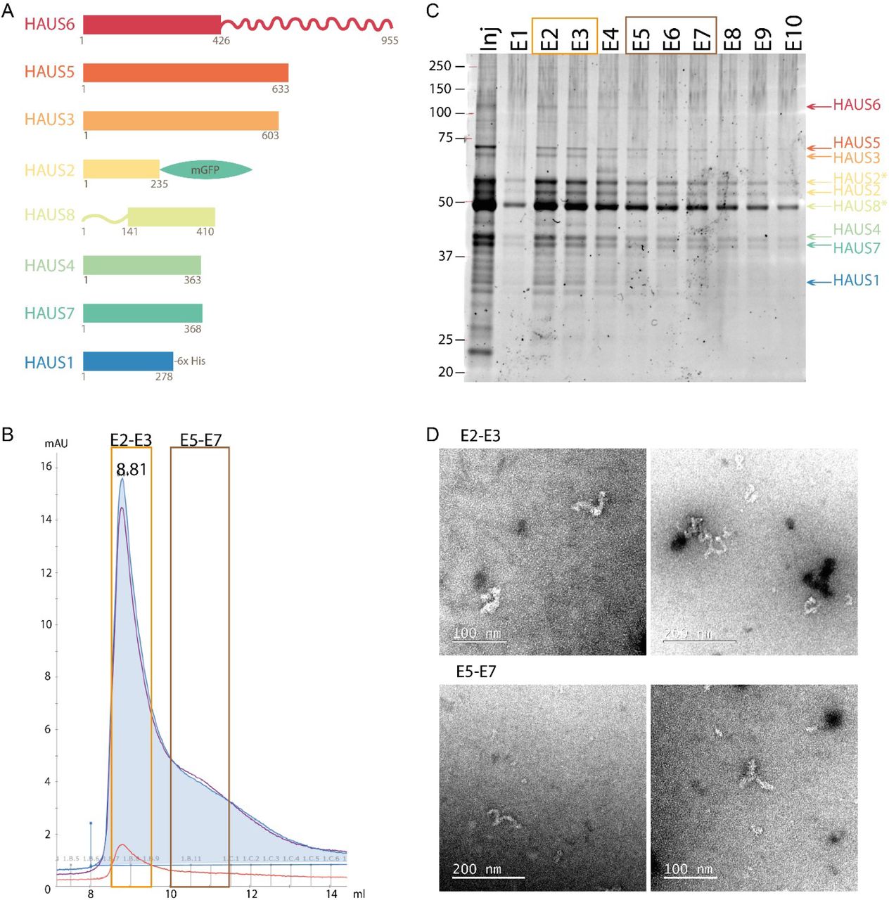 Superose 6 Increase Column Size Exclusion Column | GE Healthcare | Bioz