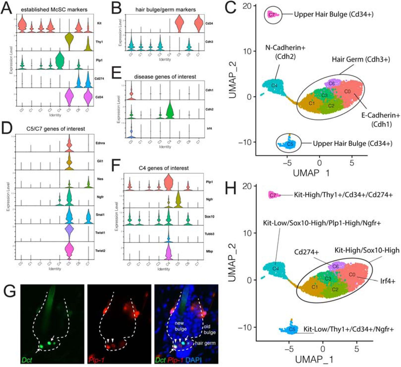 Rosa Lsl Tdtomato | Jackson Laboratory | Bioz