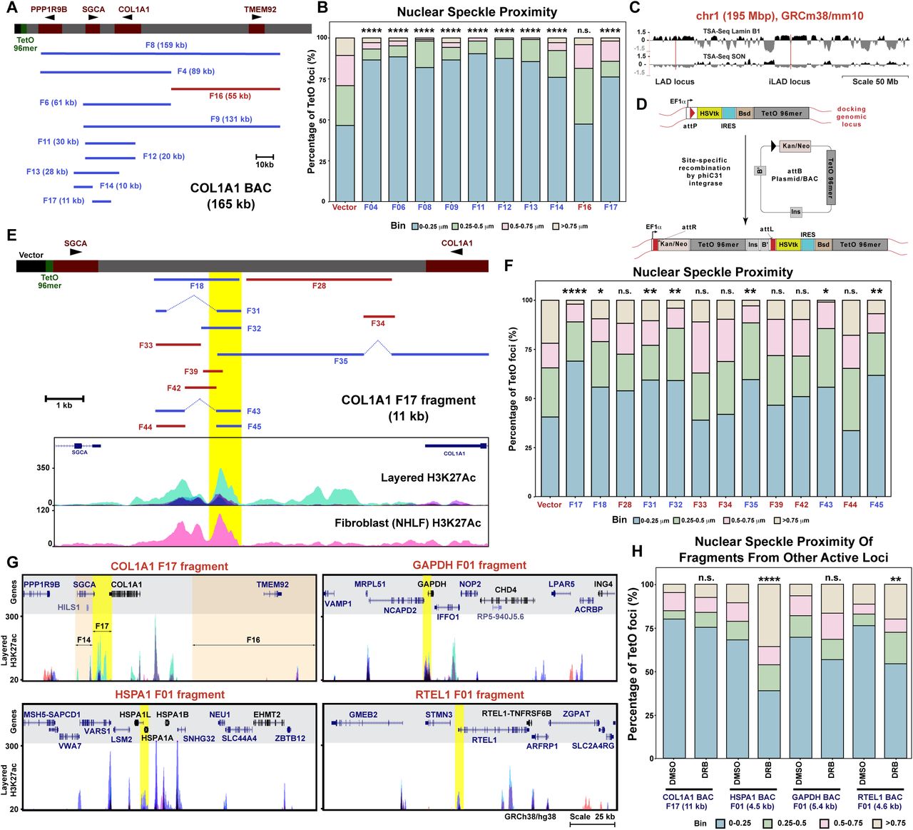 Nih 3t3 Fibroblast Cell Lines | ATCC | Bioz