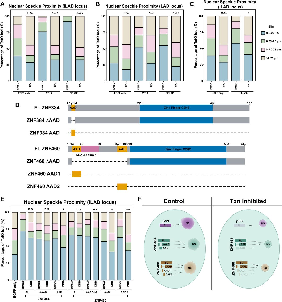 Nih 3t3 Fibroblast Cell Lines | ATCC | Bioz