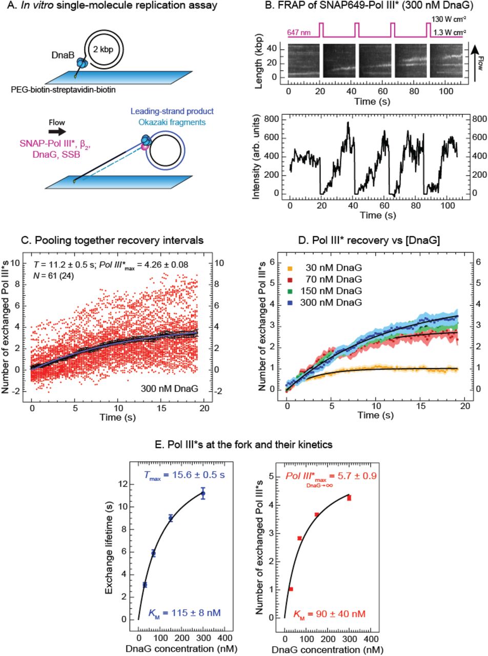 Streptavidin Coated Sensor Chips Sa | GE Healthcare | Bioz