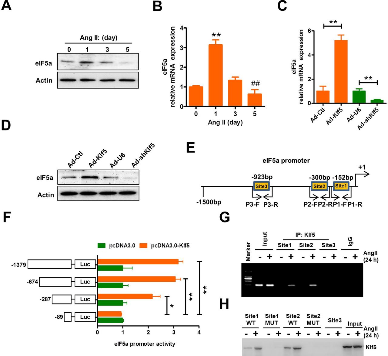 Mouse Minus Duolink In Situ Proximity Ligation Assay Kits With Anti ...