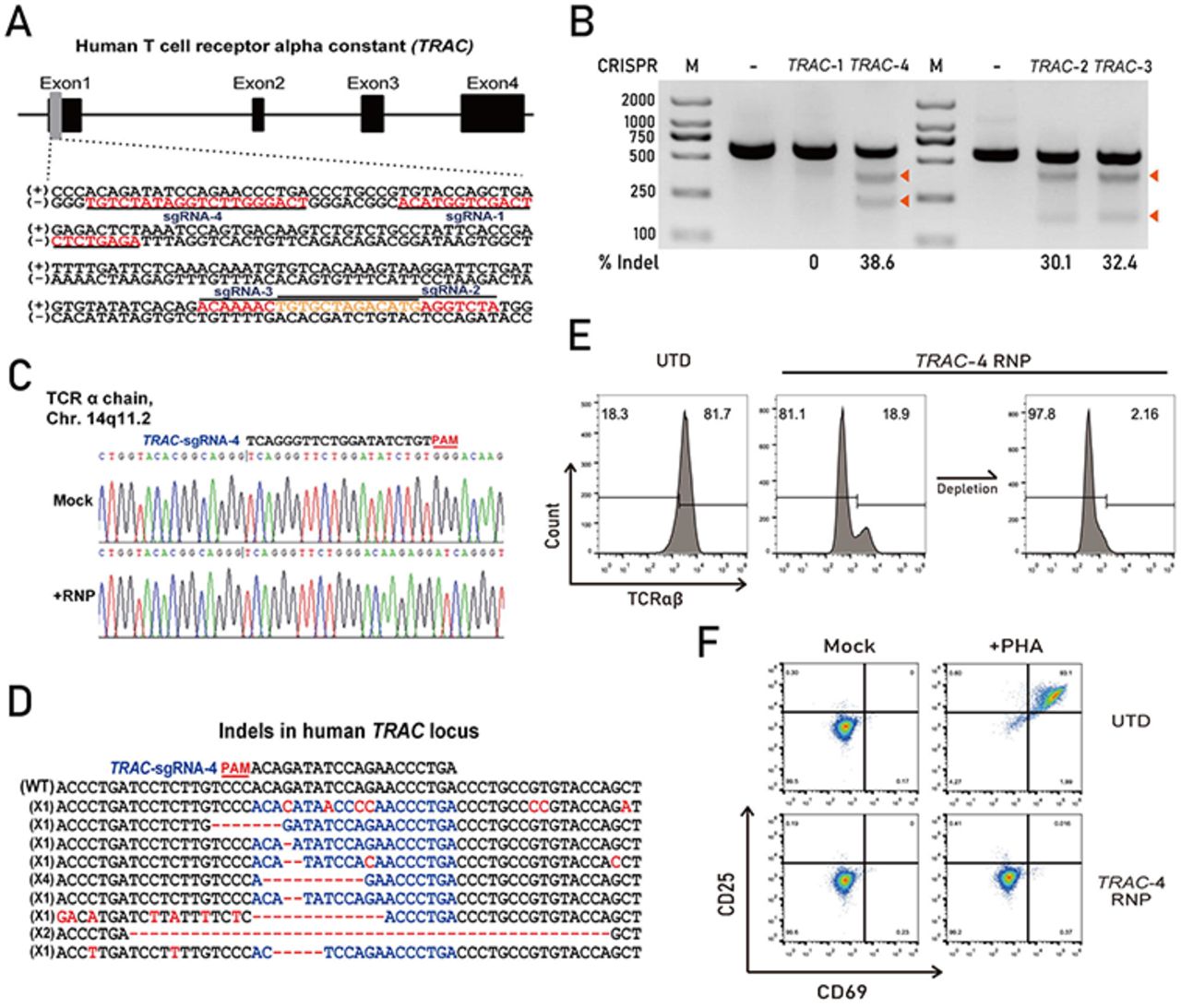 T7e1 Surveyor Nuclease Assay | New England Biolabs | Bioz