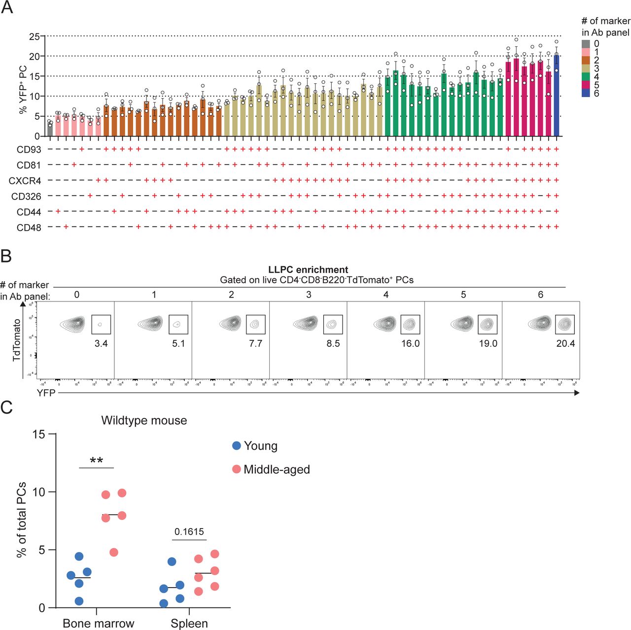 Rosa26 Cag Lsl Tdtomato Ai14 | Jackson Laboratory | Bioz