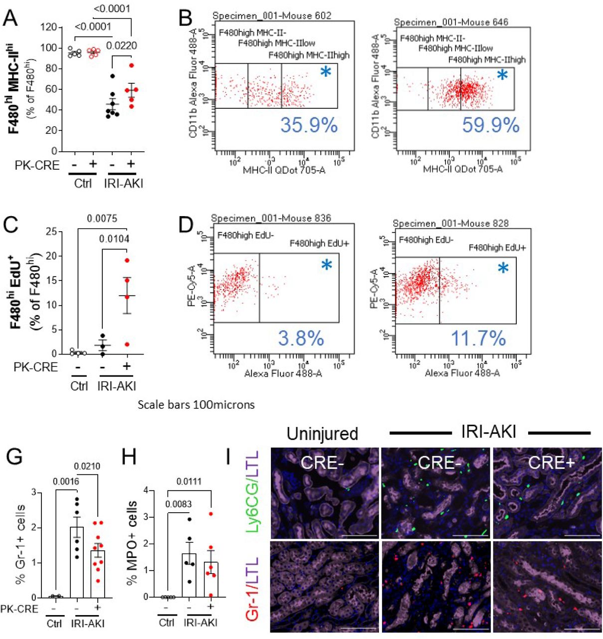 Anti Mouse Cd11b Macs Beads | Miltenyi Biotec | Bioz