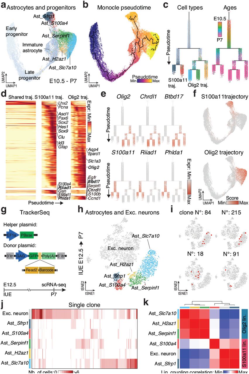 Trackerseq Barcode Libraries | Illumina Inc | Bioz