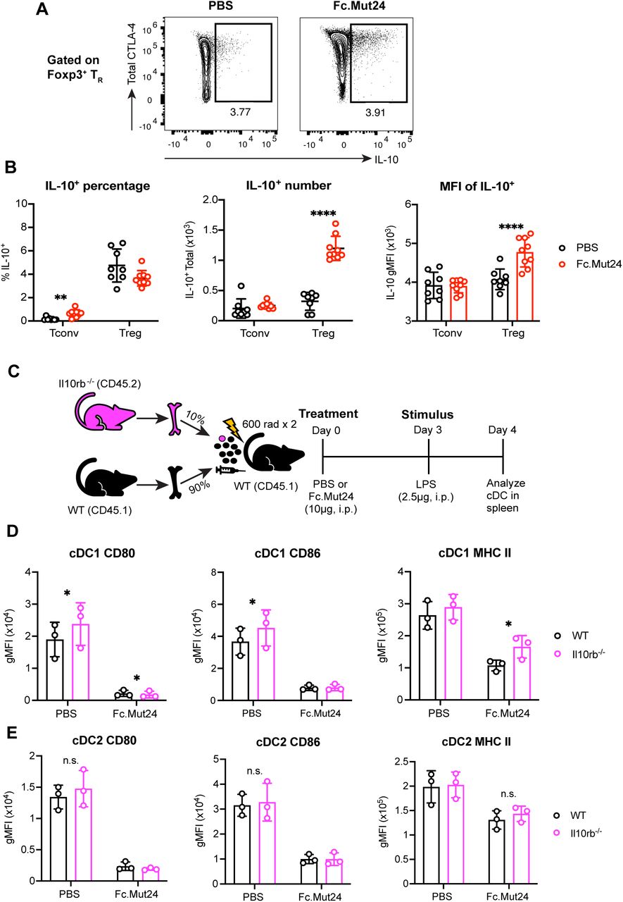 Pma Ionomycin | Thermo Fisher | Bioz