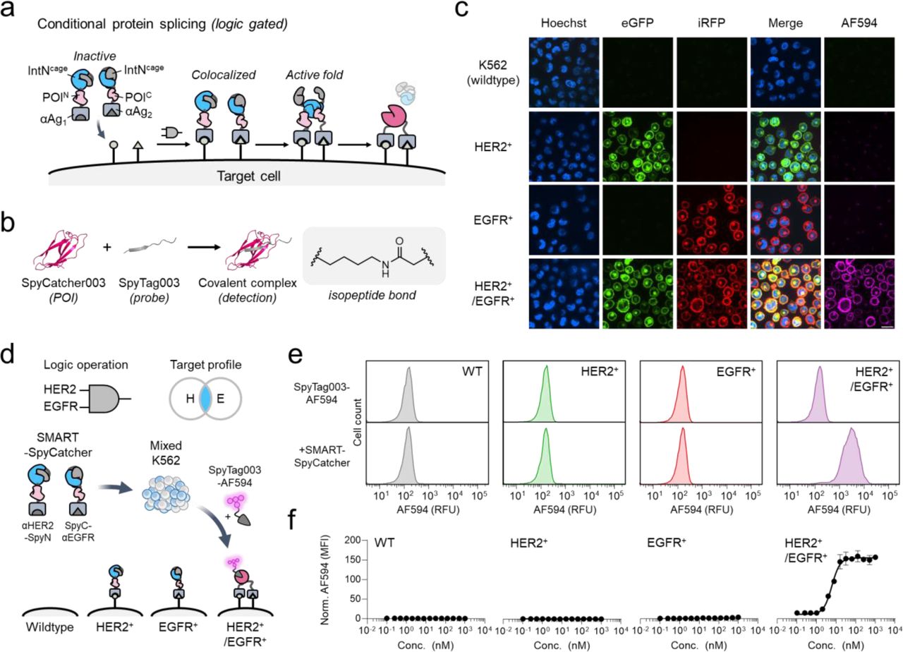 Flow Cytometry Acquisition | Becton Dickinson | Bioz