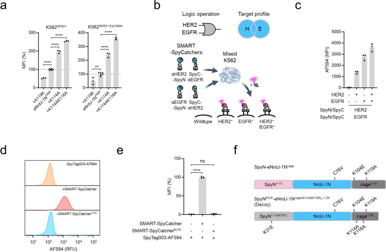 Flow Cytometry Acquisition | Becton Dickinson | Bioz