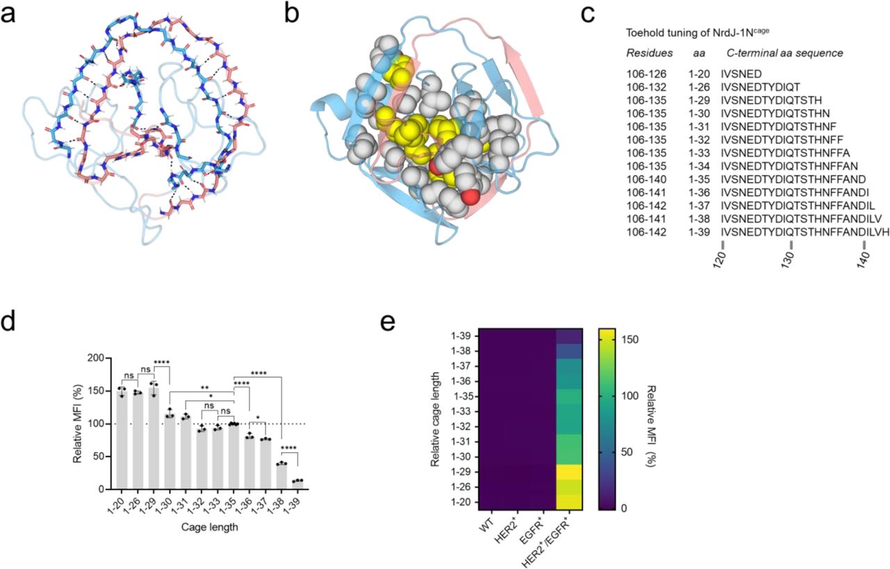 Flow Cytometry Acquisition | Becton Dickinson | Bioz