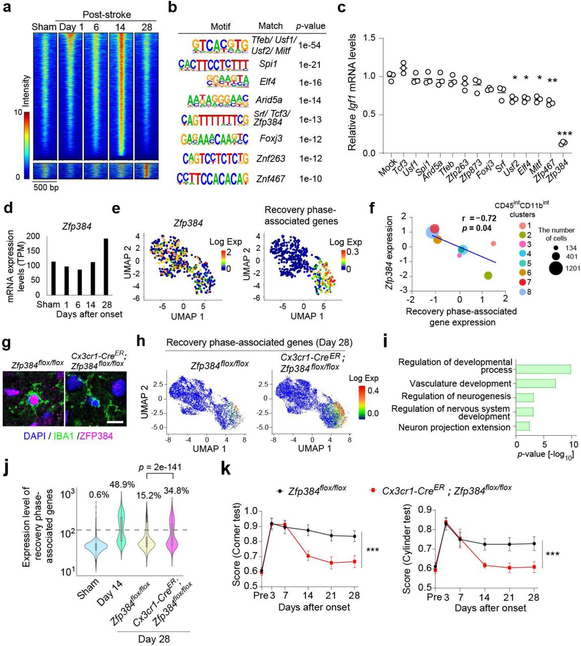 Rosa26 Lsl Tdtomato | The Jackson Laboratory | Bioz