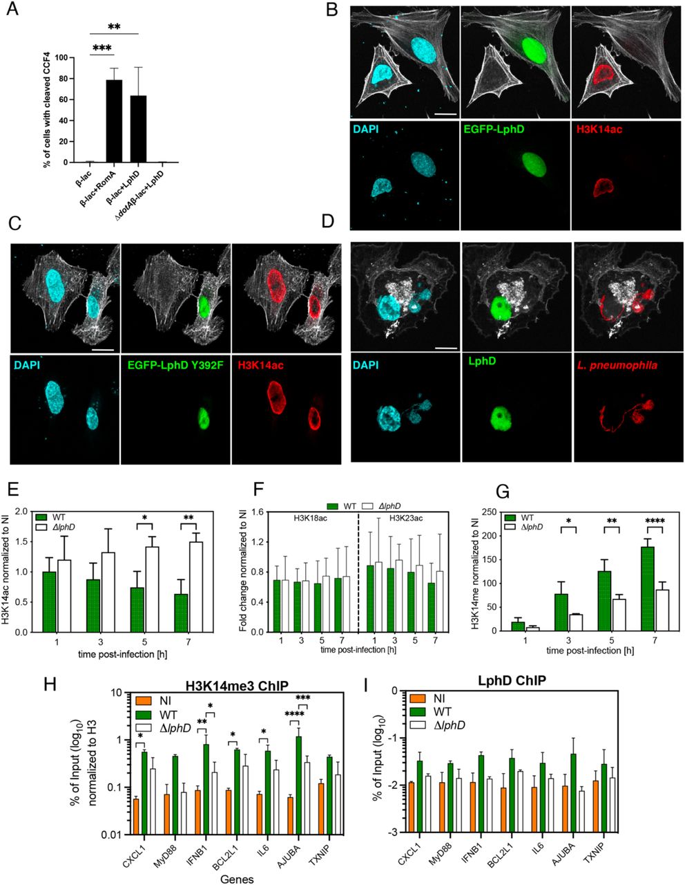 Liveblazer | Thermo Fisher | Bioz