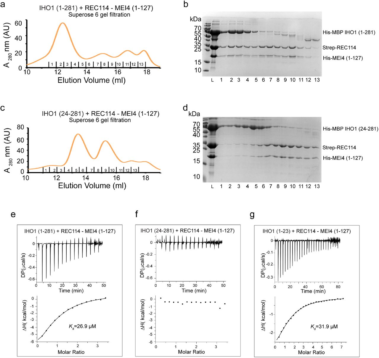 Superose 6 Gel Filtration Column | GE Healthcare | Bioz
