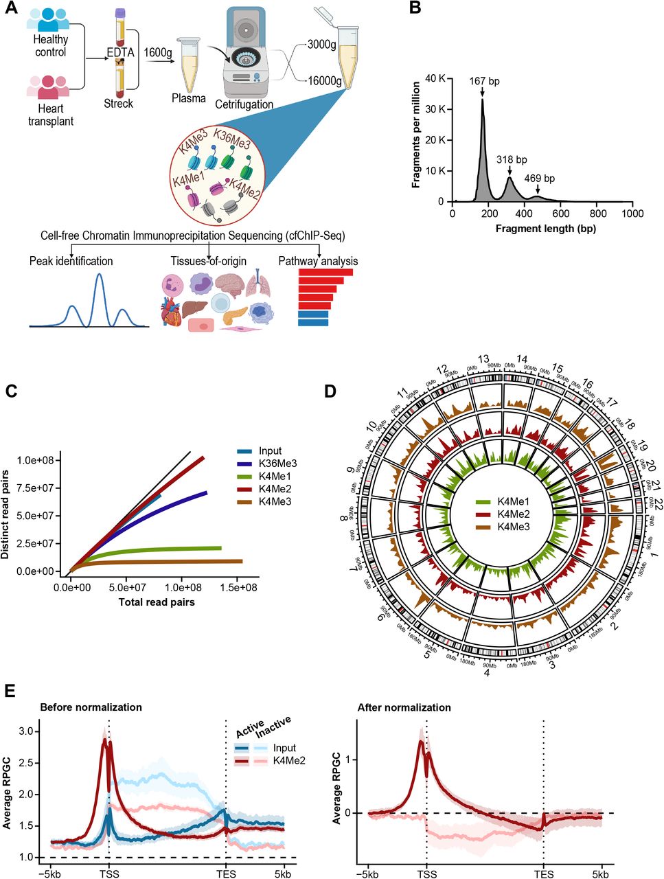 Streck Cell Free Dna Bct | Streck Laboratories | Bioz
