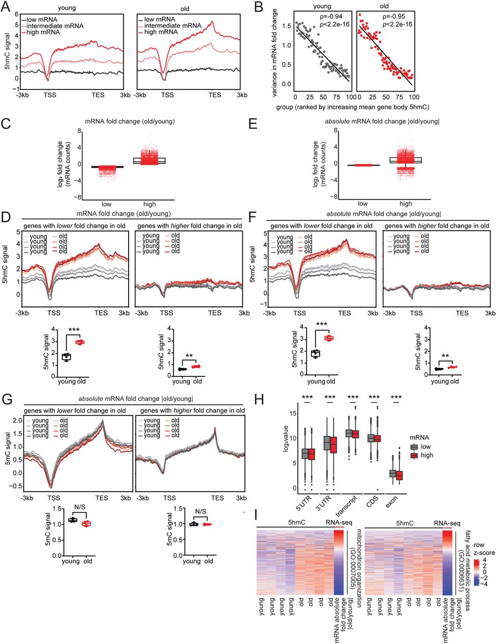 5mc Antibodies | DIAGENODE DIAGNOSTICS | Bioz