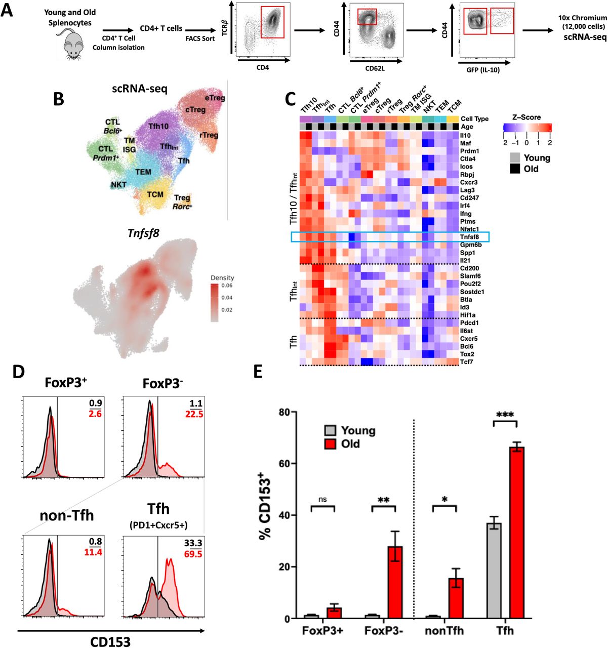Cell Sorting Cd4 T Cell Isolation Kit Ii | Miltenyi Biotec | Bioz