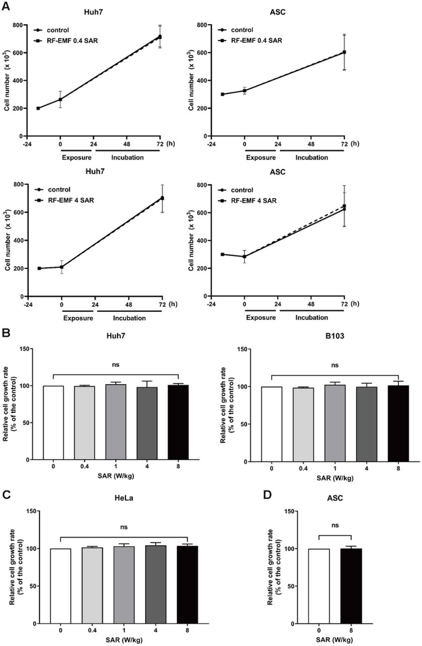 Huh7 Human Hepatocellular Carcinoma Cells | ATCC | Bioz