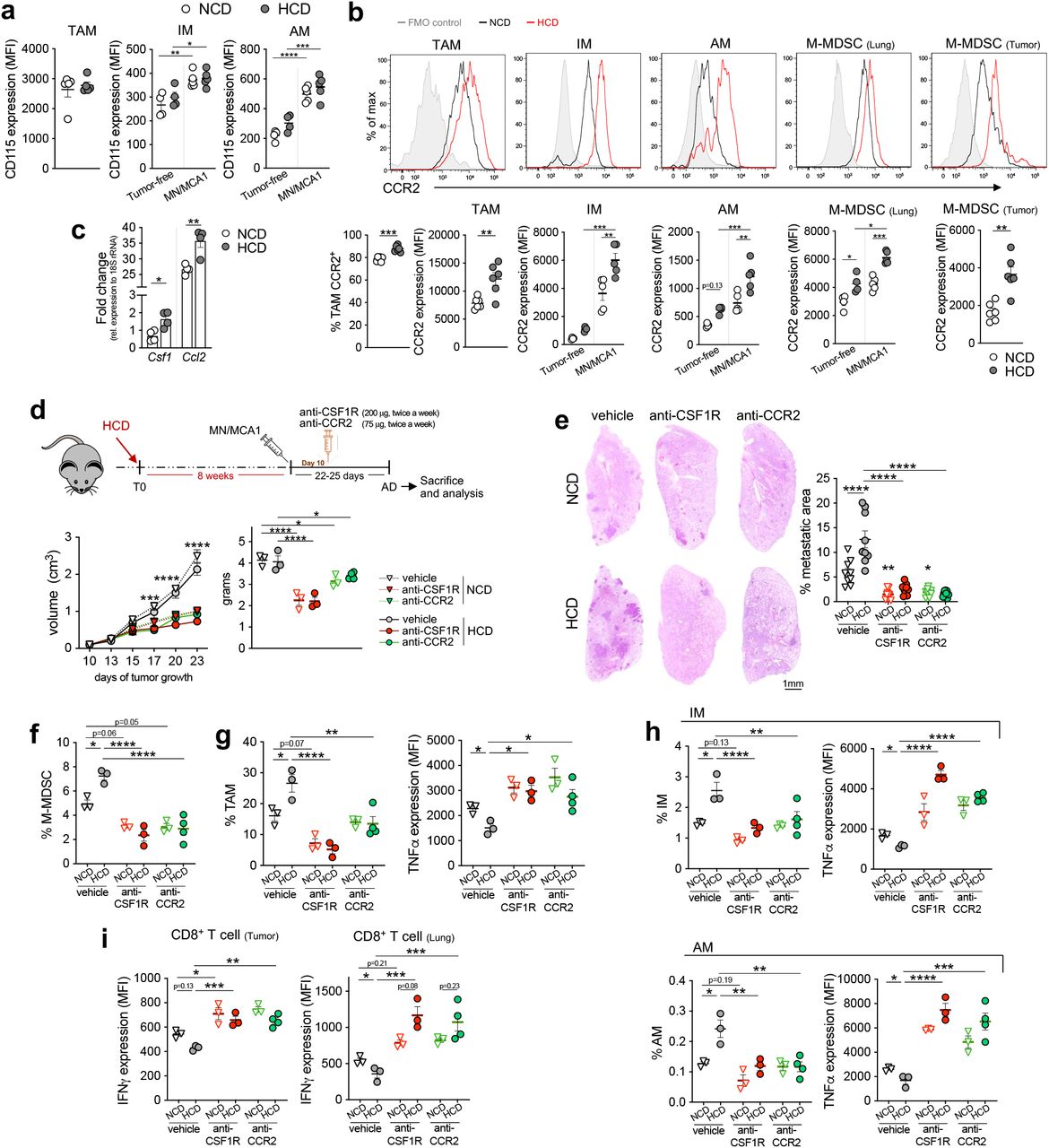 Invivomab Anti Mouse Anti Csf1r | Bio X Cell | Bioz