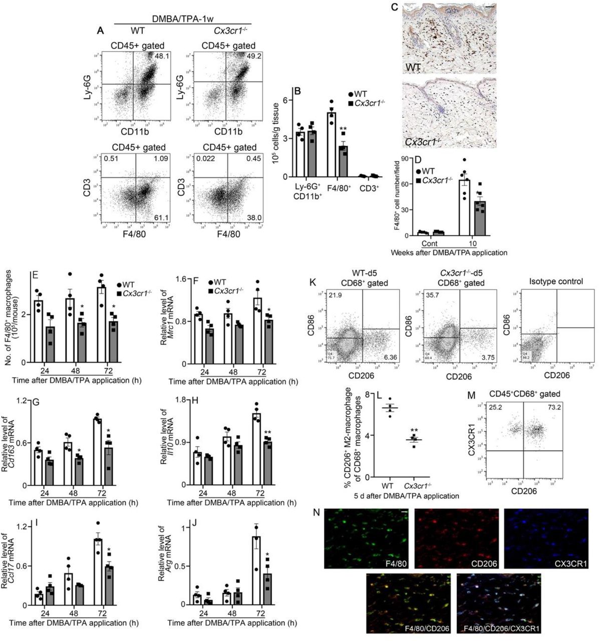 Percp Cy5 5 Conjugated Rat Anti Mouse Cd45 Mab | BioLegend | Bioz
