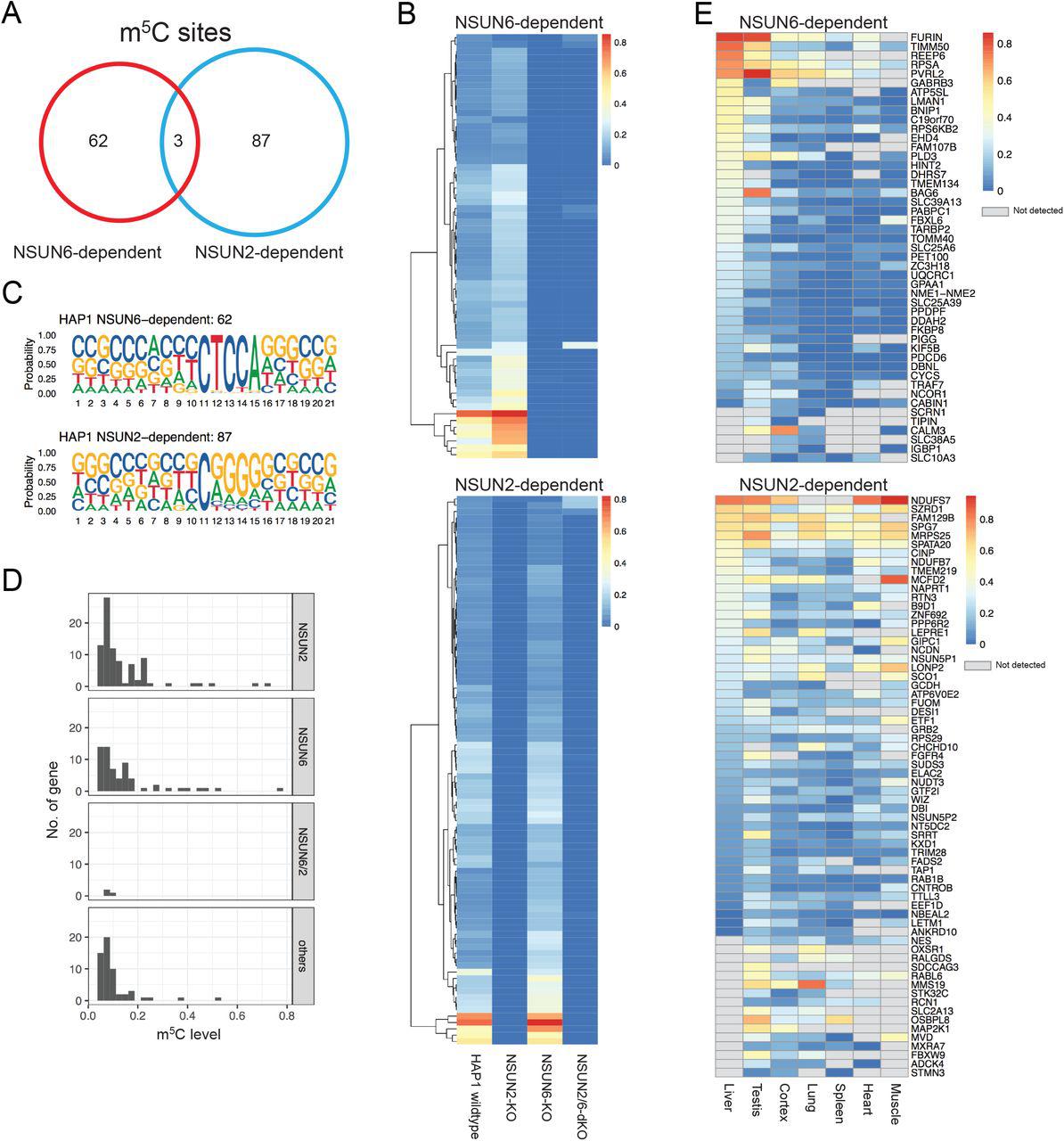 Hap1 Cell | Bioz | Ratings For Life-Science Research