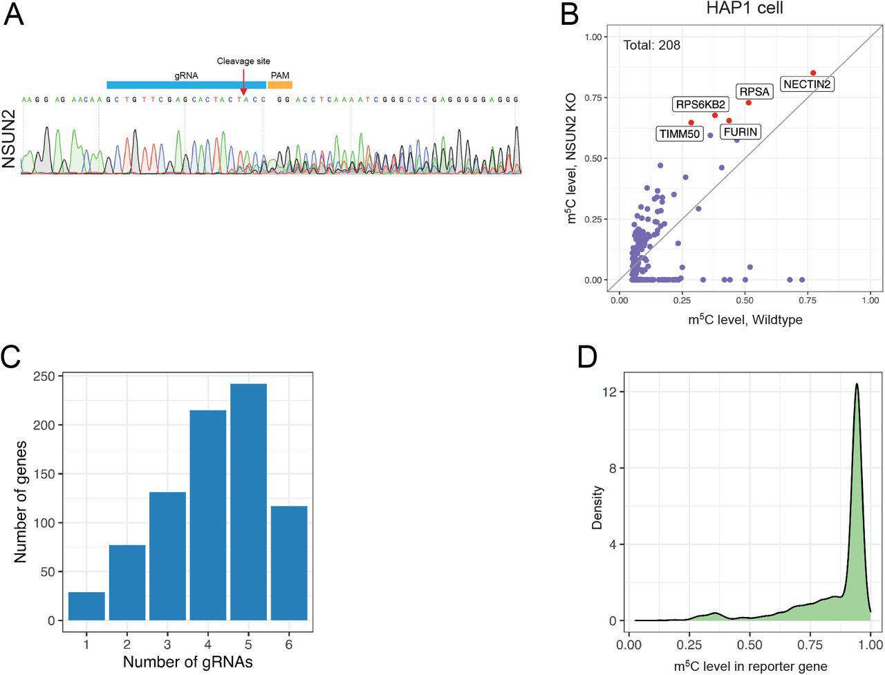 Hap1 Cell | Bioz | Ratings For Life-Science Research
