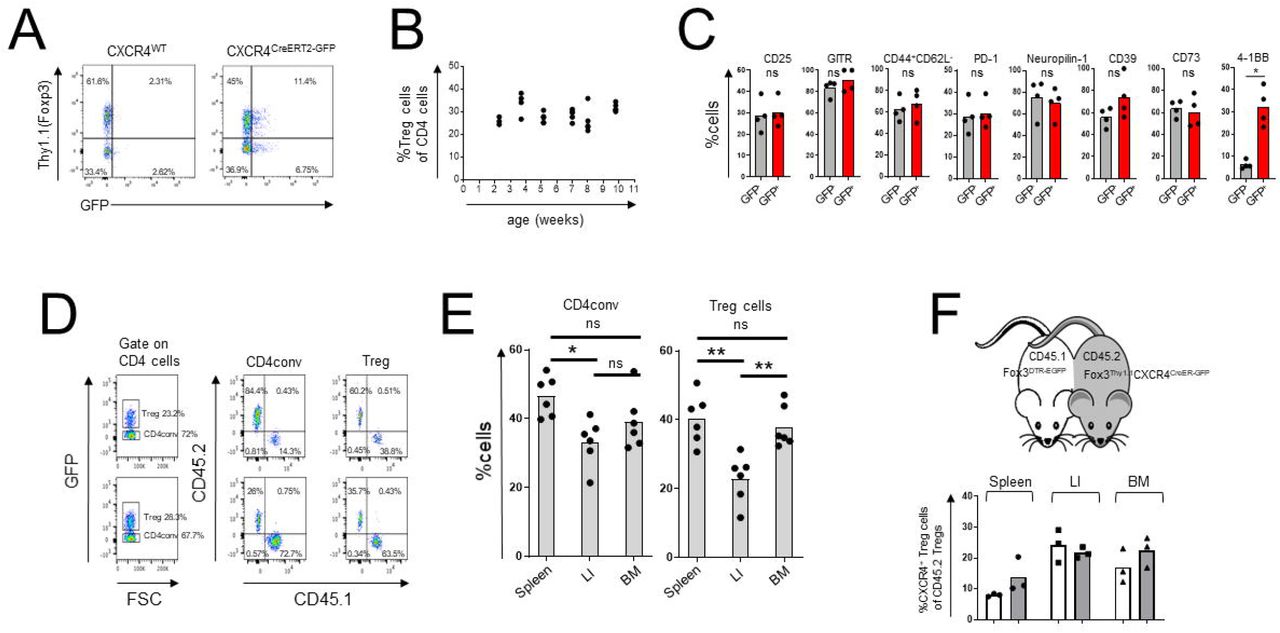 Dynabeads Flowcomp Mouse Pan T Cd90 2 Kit | Thermo Fisher | Bioz