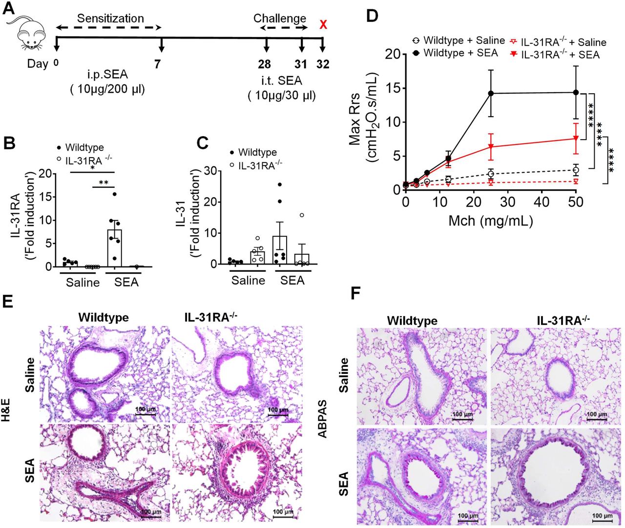 Hdm Extracts | Greer Laboratories | Bioz