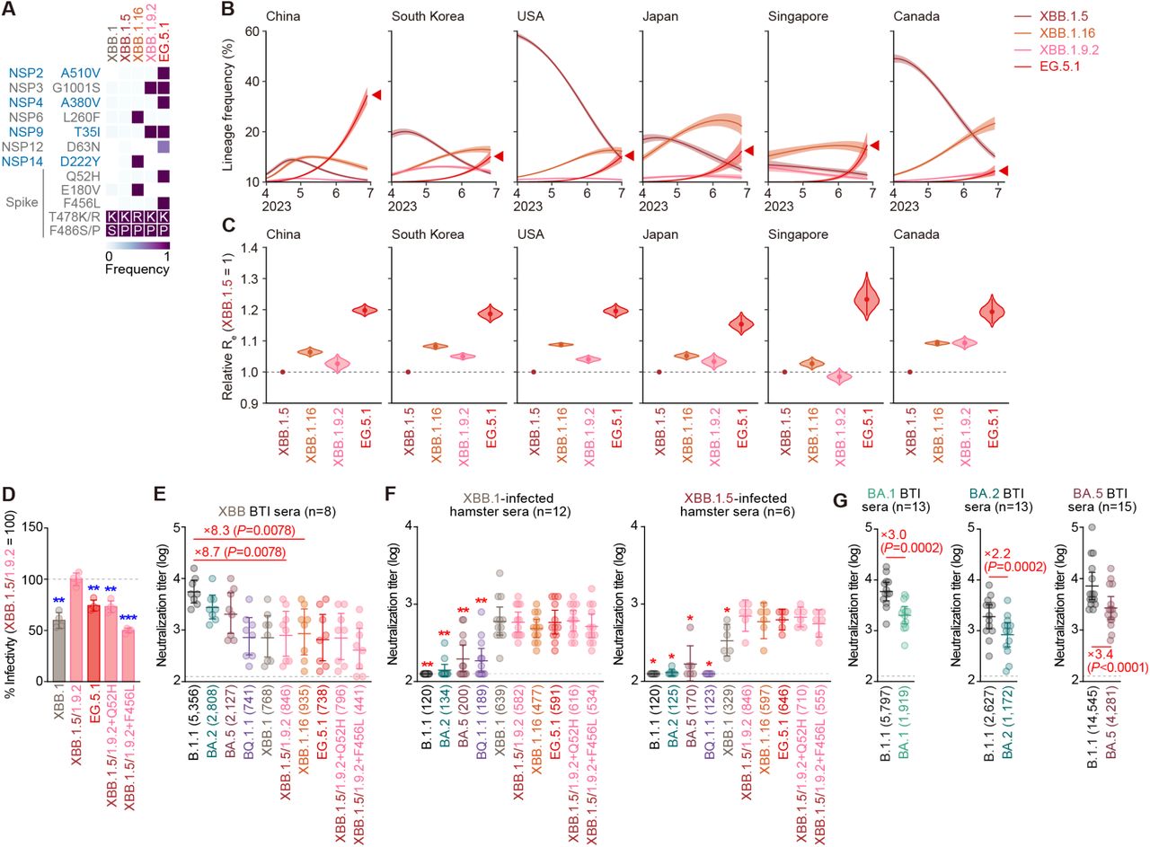 Human Ace2 | atcc | Bioz