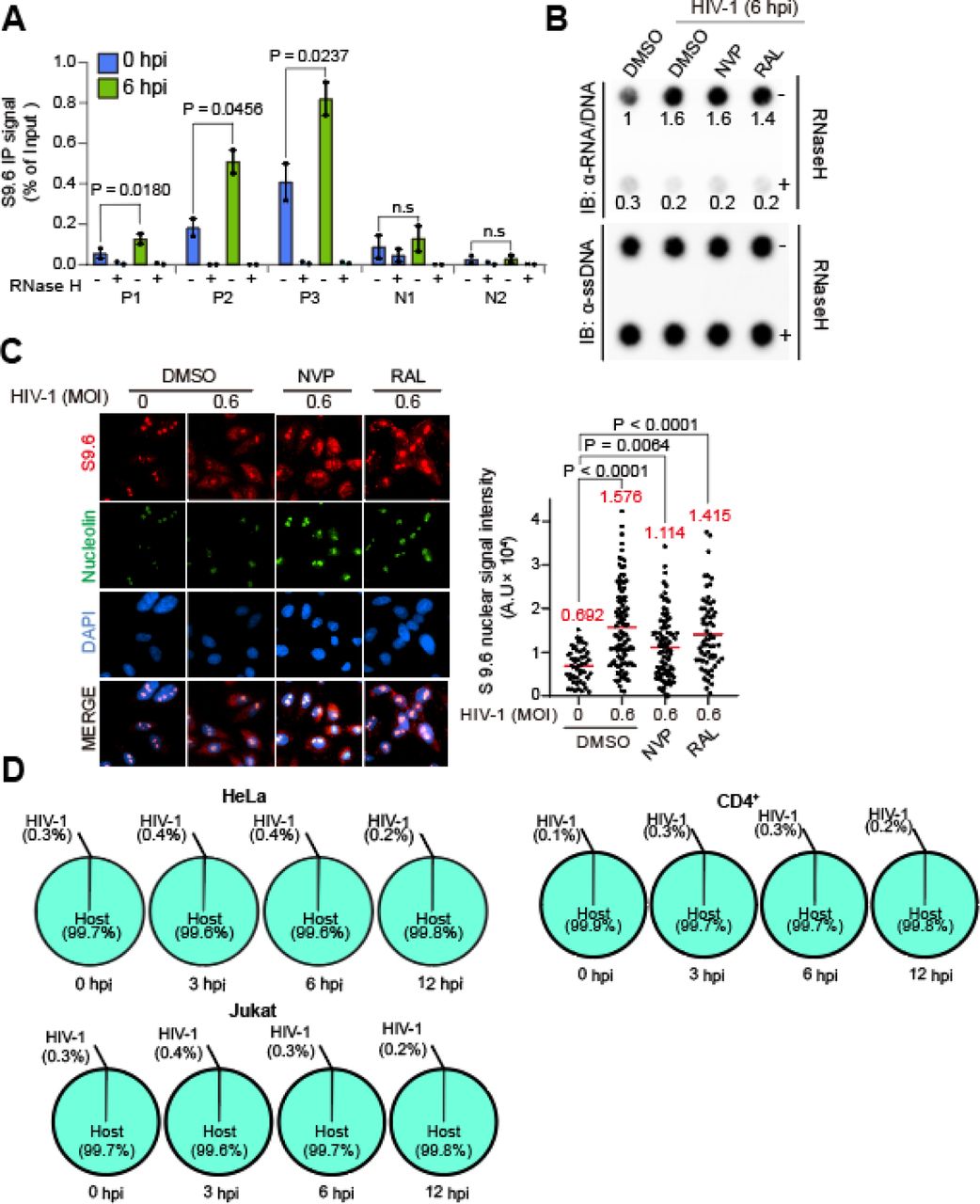 Gdna | New England Biolabs | Bioz